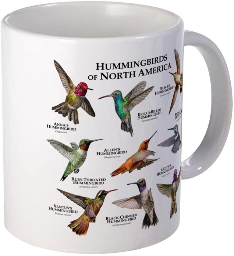 23 Hummingbird Gifts For Hummingbird Lovers • GiftMighty