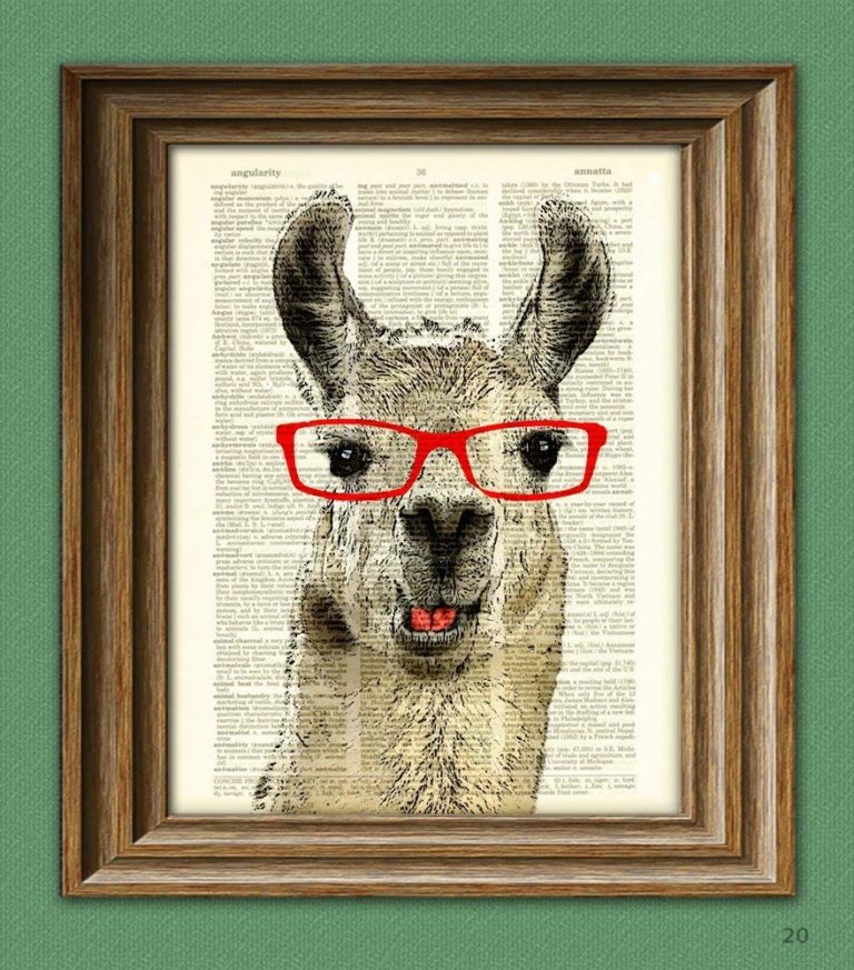 31 Llama Gifts That Any Llama Lover Will Adore • GiftMighty
